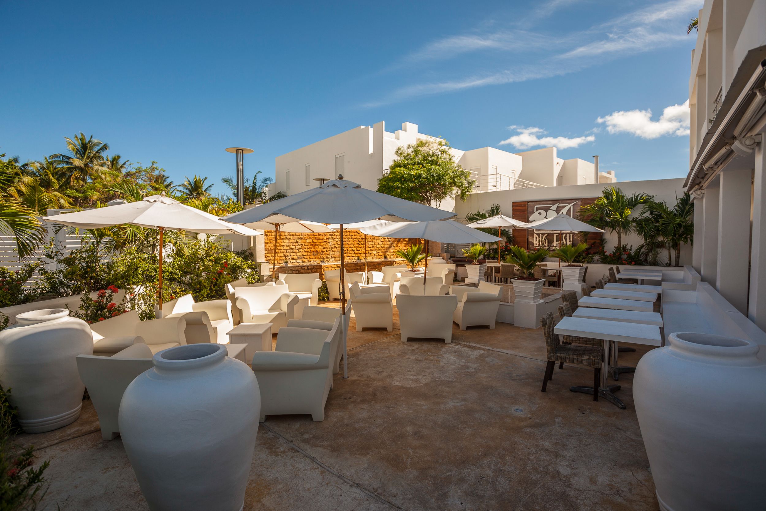 Big Fish | Princess Heights